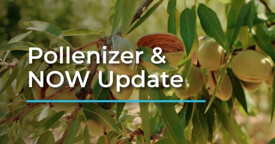 Semios Blog | Navel Orangeworm (NOW)