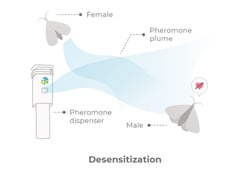 Understanding Pheromones and Mating Disruption