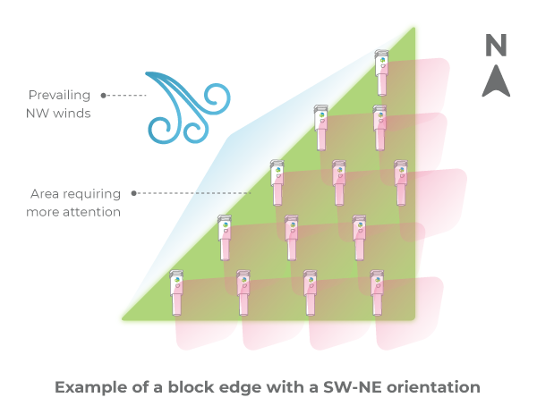 Understanding Pheromones and Mating Disruption