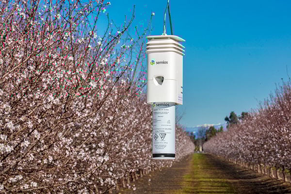 Understanding Pheromones and Mating Disruption