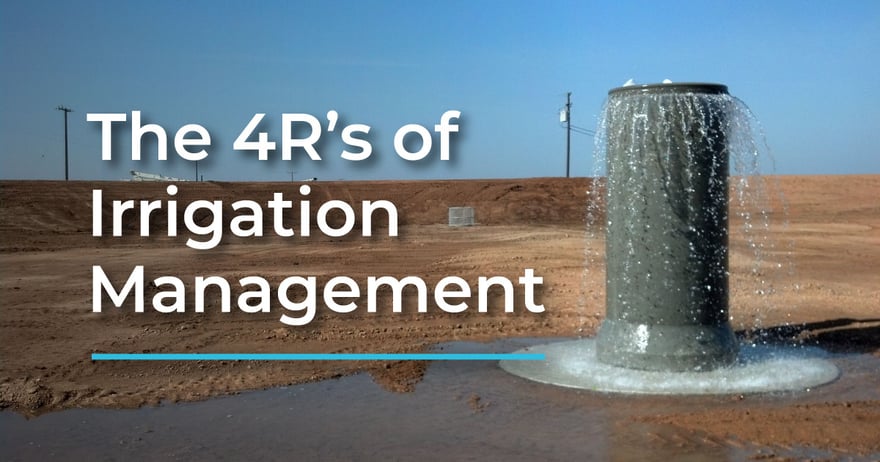 Dendrometers, Explained