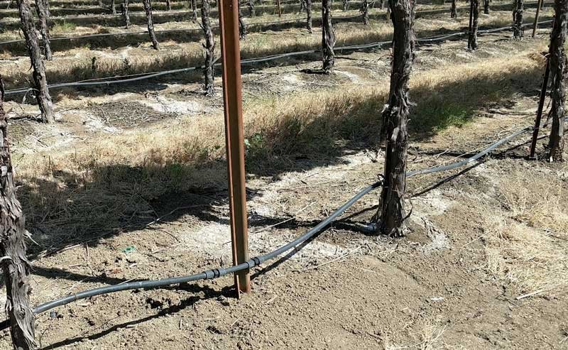 Understanding Leaching and Soil Salinity