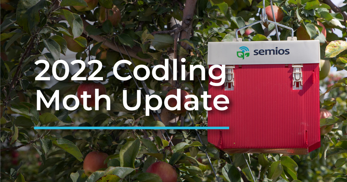 2022 Washington Codling Moth Degree Day Update