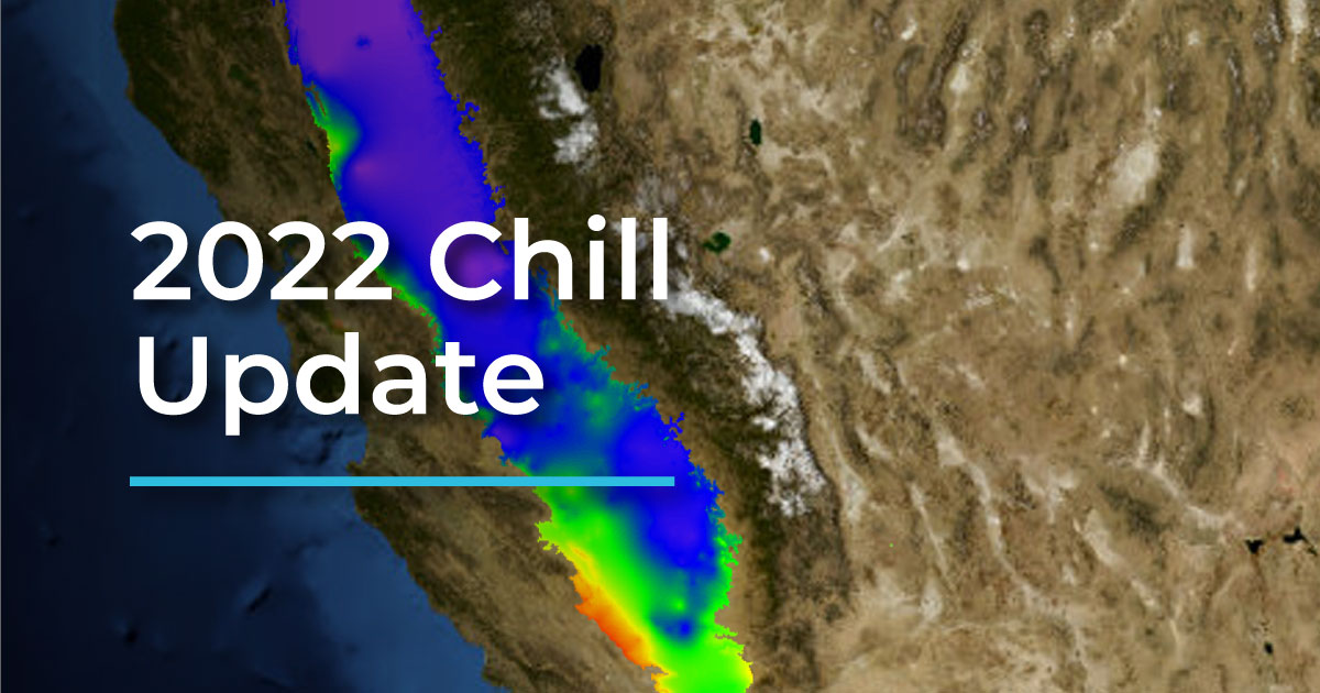 2022 California Pistachio Chill Update & Frequently Asked Questions