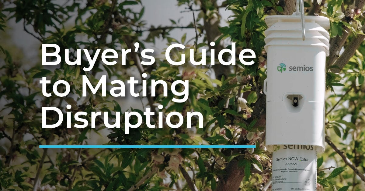 Things to Consider When You Buy Mating Disruption