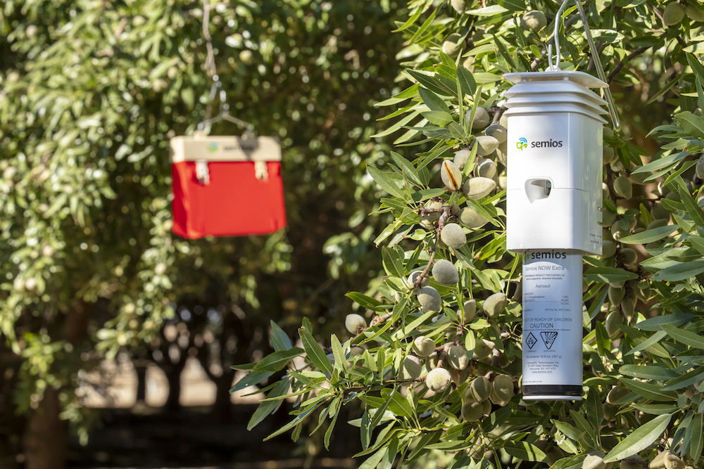 Understanding Variable Rate Mating Disruption